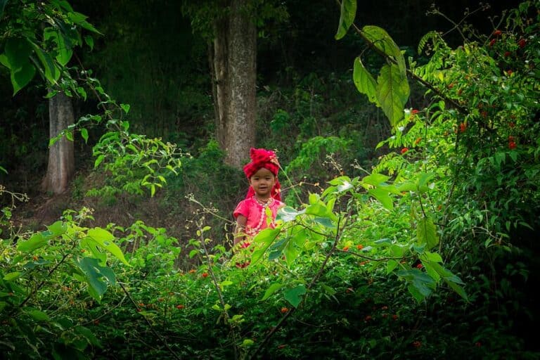 Myanmar’s military coup is a blow to the nation’s stunning biodiversity ...