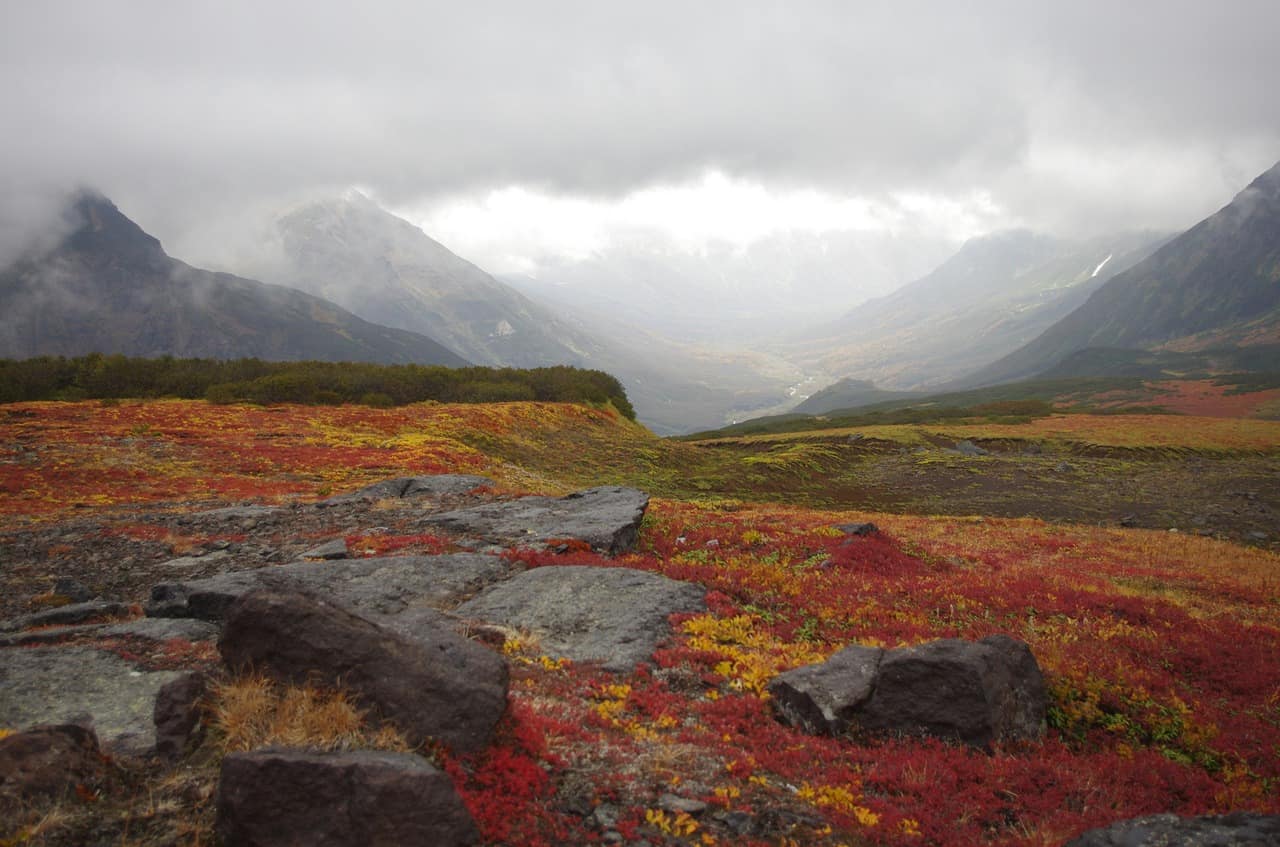 Much less methane might be released from thawing tundra than previously ...