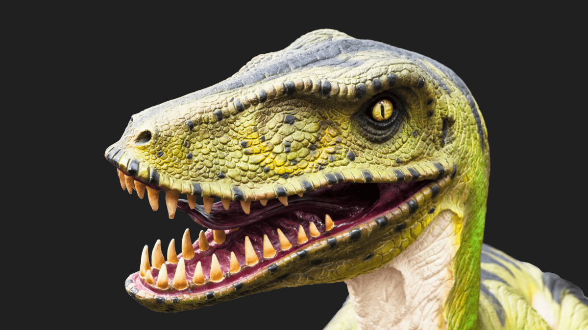 Fossilized Poop Reveals Dinosaurs Evolution Secrets