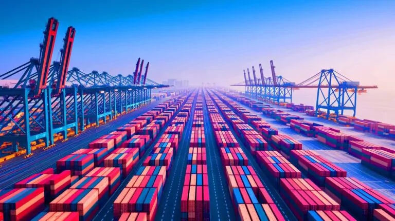 "65 million containers per year": this massive automated port will ...