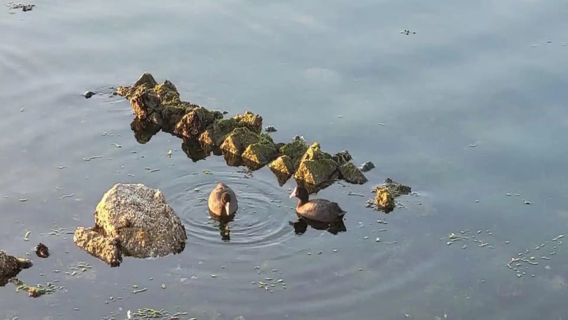 Roman-era villa resurfaces from Lake Fusaro, leaving archaeologists ...