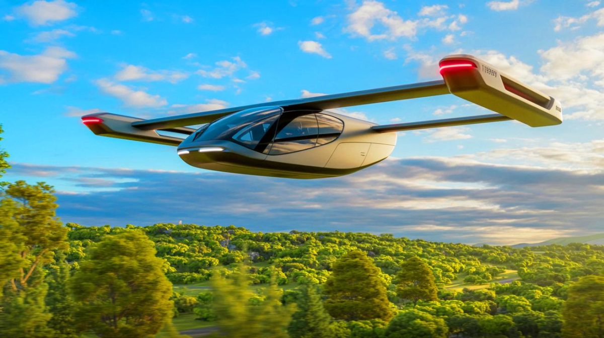 “Jurassic Tree Lives Again”: 200-Million-Year-Old ‘Dinosaur Tree’ Successfully Bred in Stunning ...